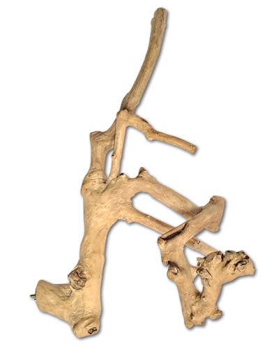 X-Large Java Multi Branch - AE Java Wood – MyBirdStore.com