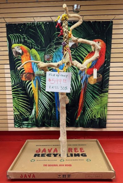 Java Tree Bird Stand – MyBirdStore.com